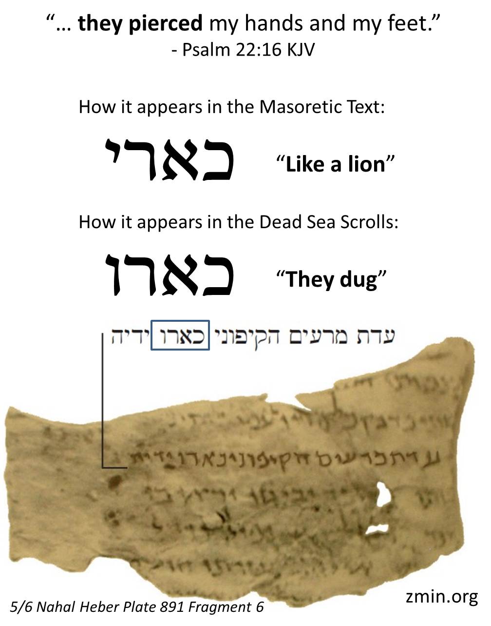 Is Psalm 22 16 About The Crucifixion Zealous Ministries Is Psalm 22 16 About The Crucifixion Zealous Ministries